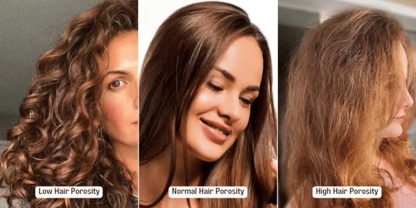 Beginner Guide To Types Of Hair Porosity-Julia Human Hair Blog ...